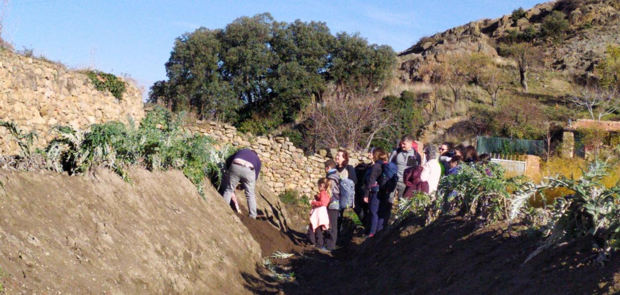 Jornadas Cardo Rojo de Ágreda - Ayuntamiento de Ágreda